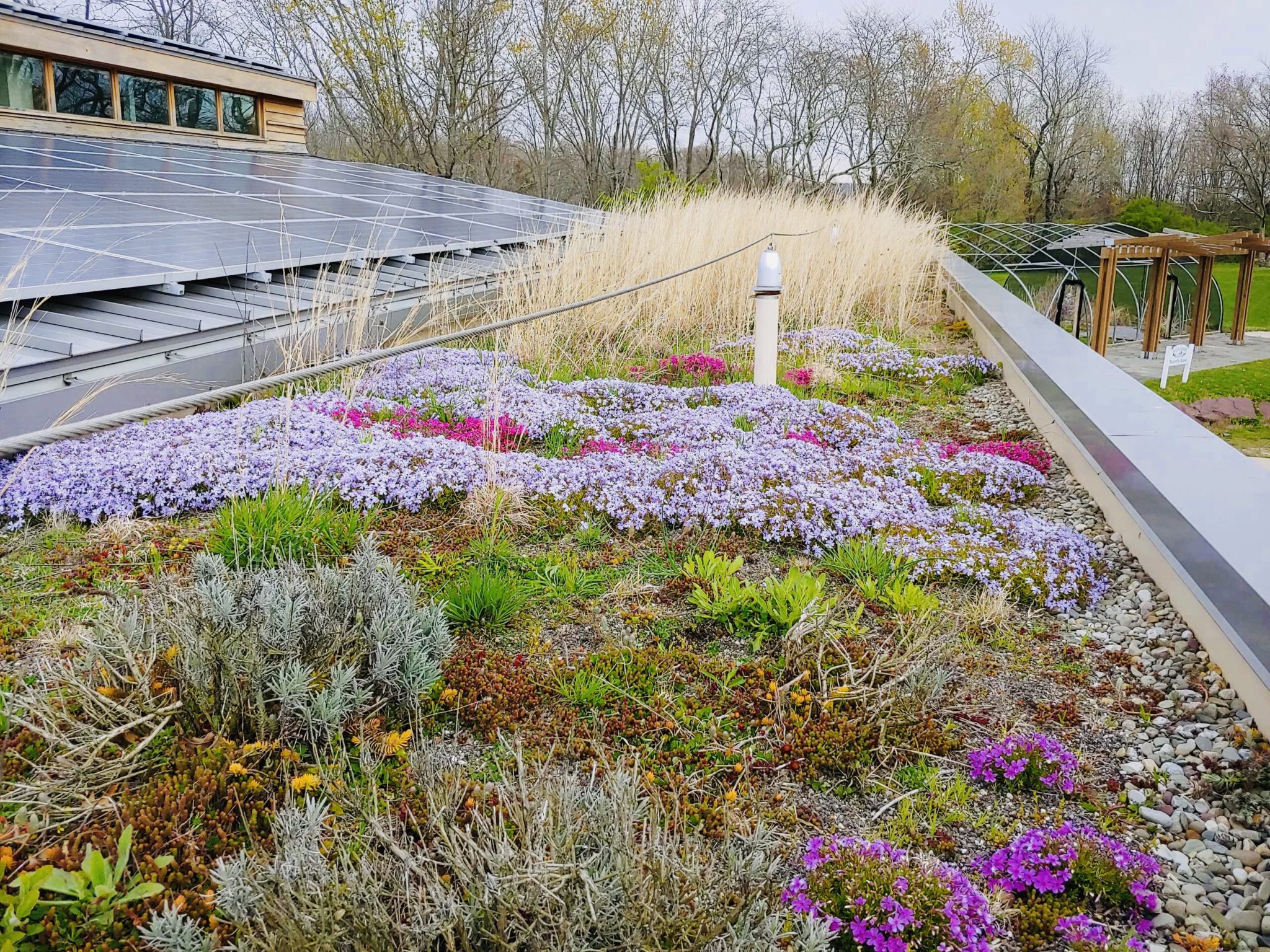 Watershed Explorations | thewatershed.org