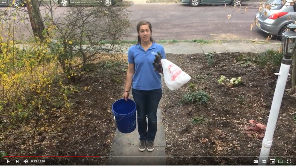 2021 Stream Cleanups | thewatershed.org