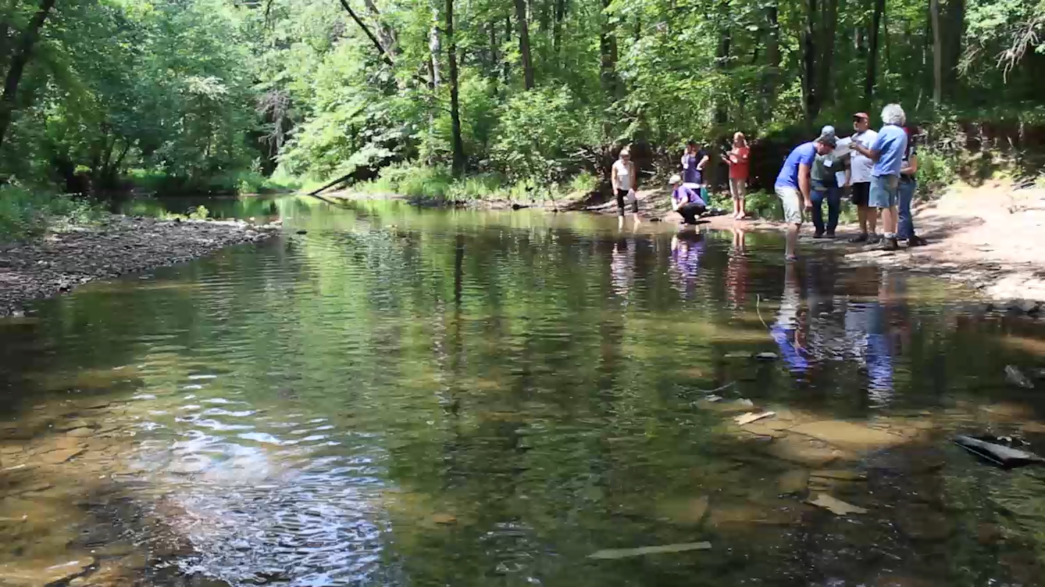 Virtual Stream Visit | thewatershed.org