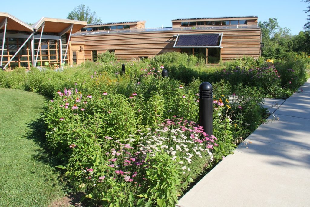 The Watershed Institute