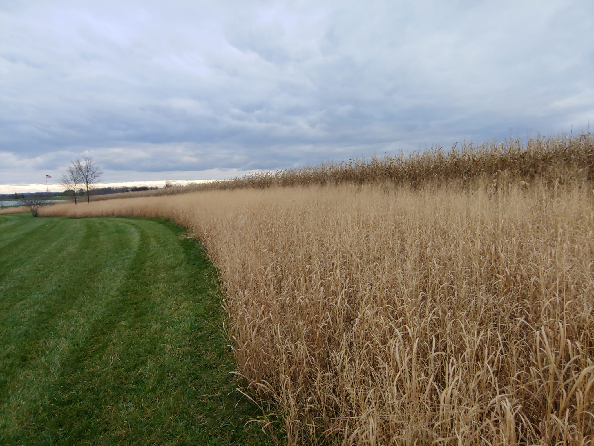 Exploring Green Infrastructure | thewatershed.org
