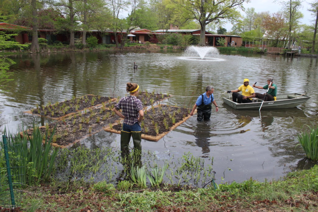 Exploring Green Infrastructure | thewatershed.org
