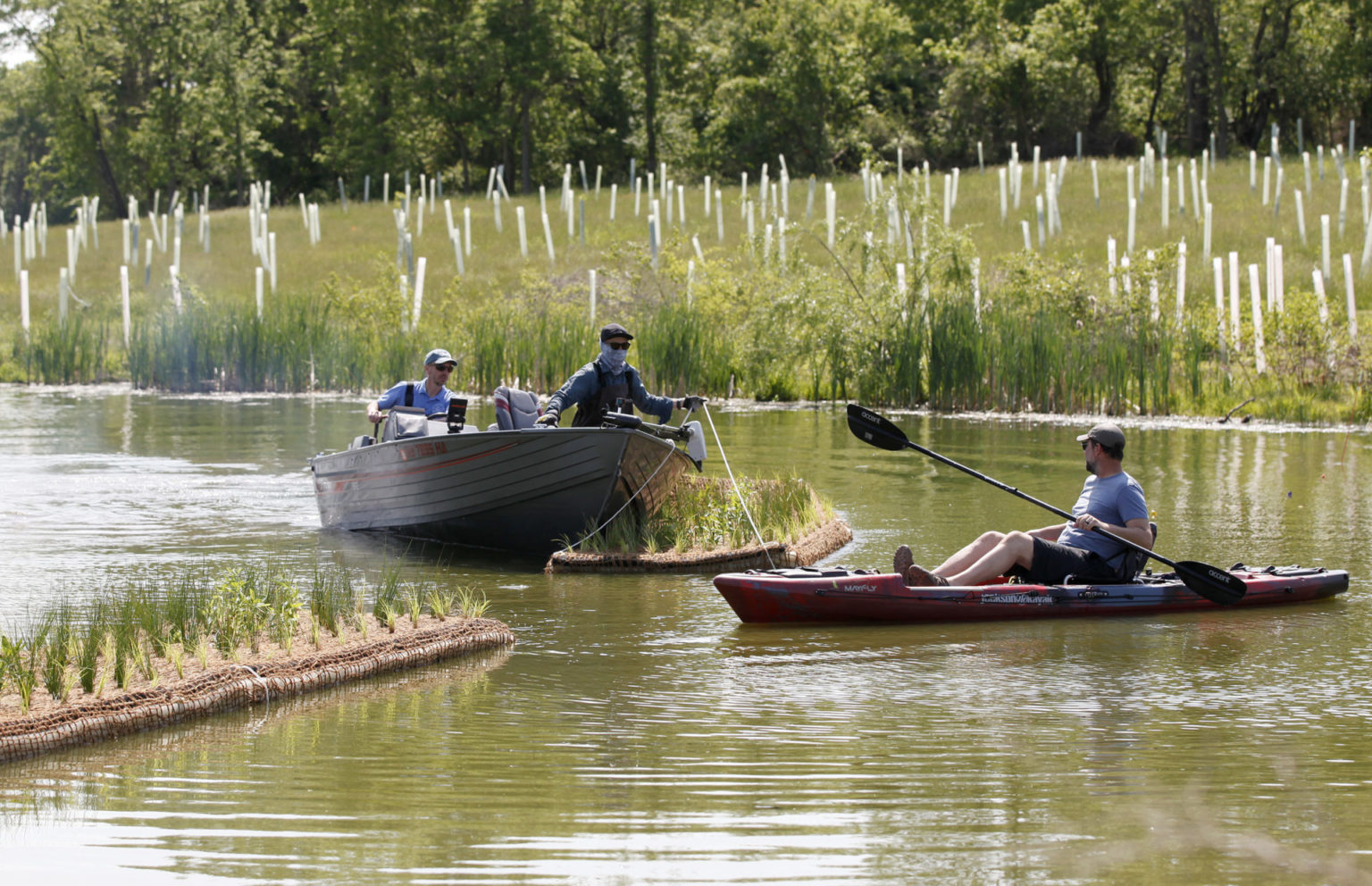 Floating Wetlands Launched At Rosedale Lake | thewatershed.org