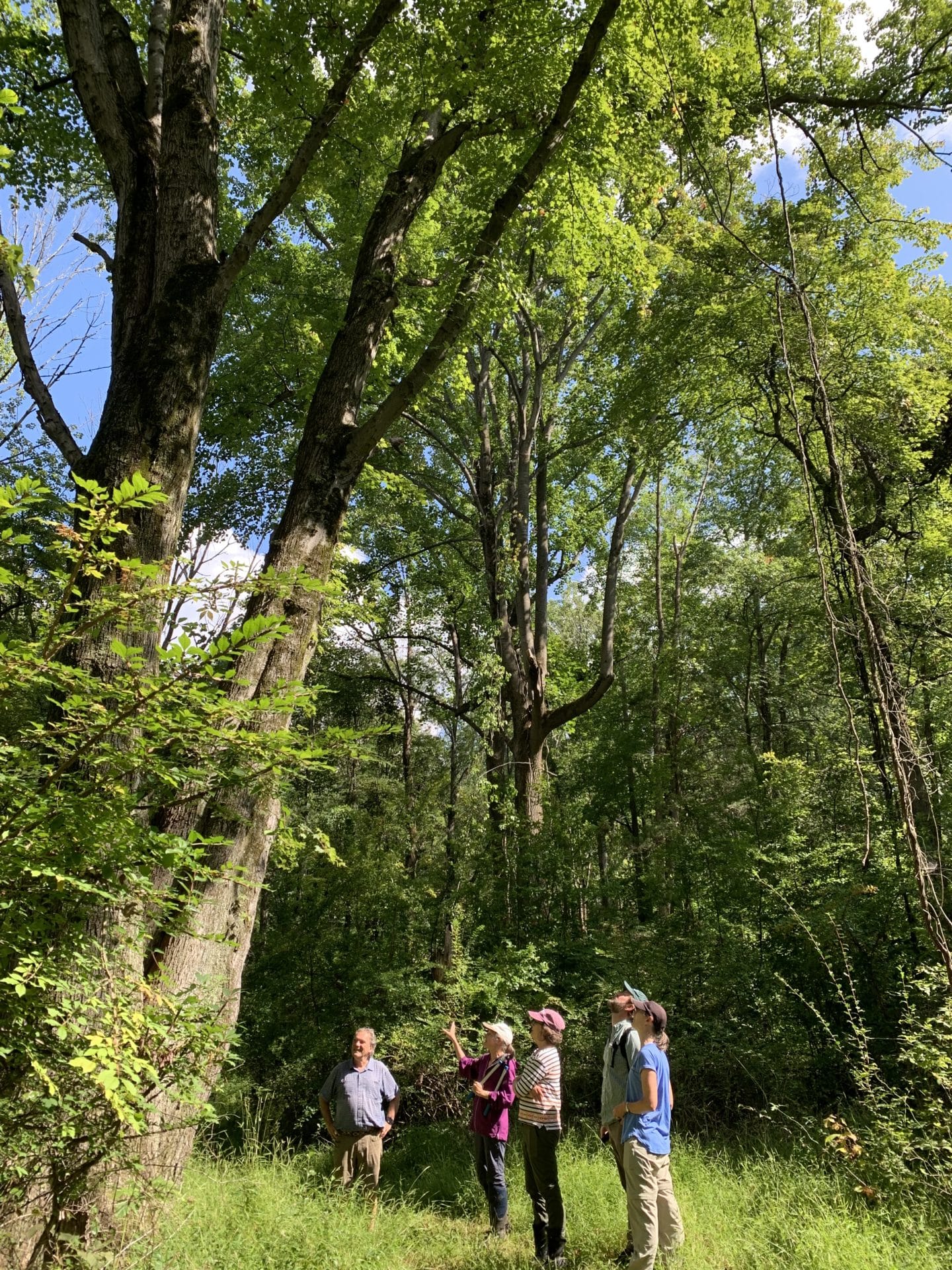 Watershed Partners In Open Space Acquisition | thewatershed.org