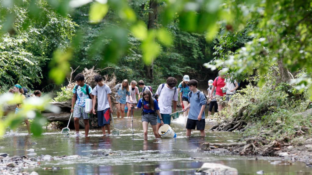 Watershed Nature Camp | thewatershed.org