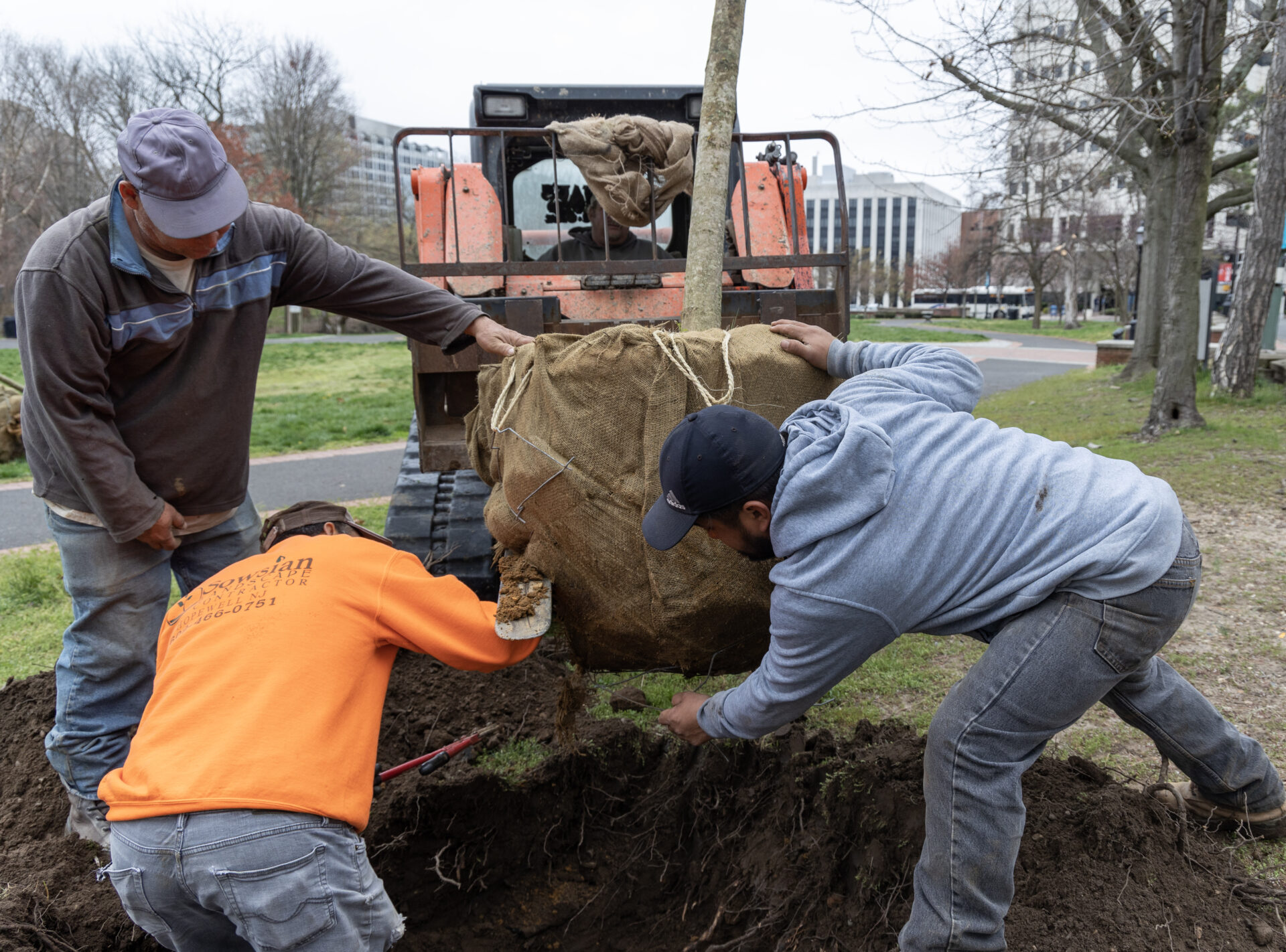 Trenton Gets Greener -- First Phase of Tree Planting has Begun ...