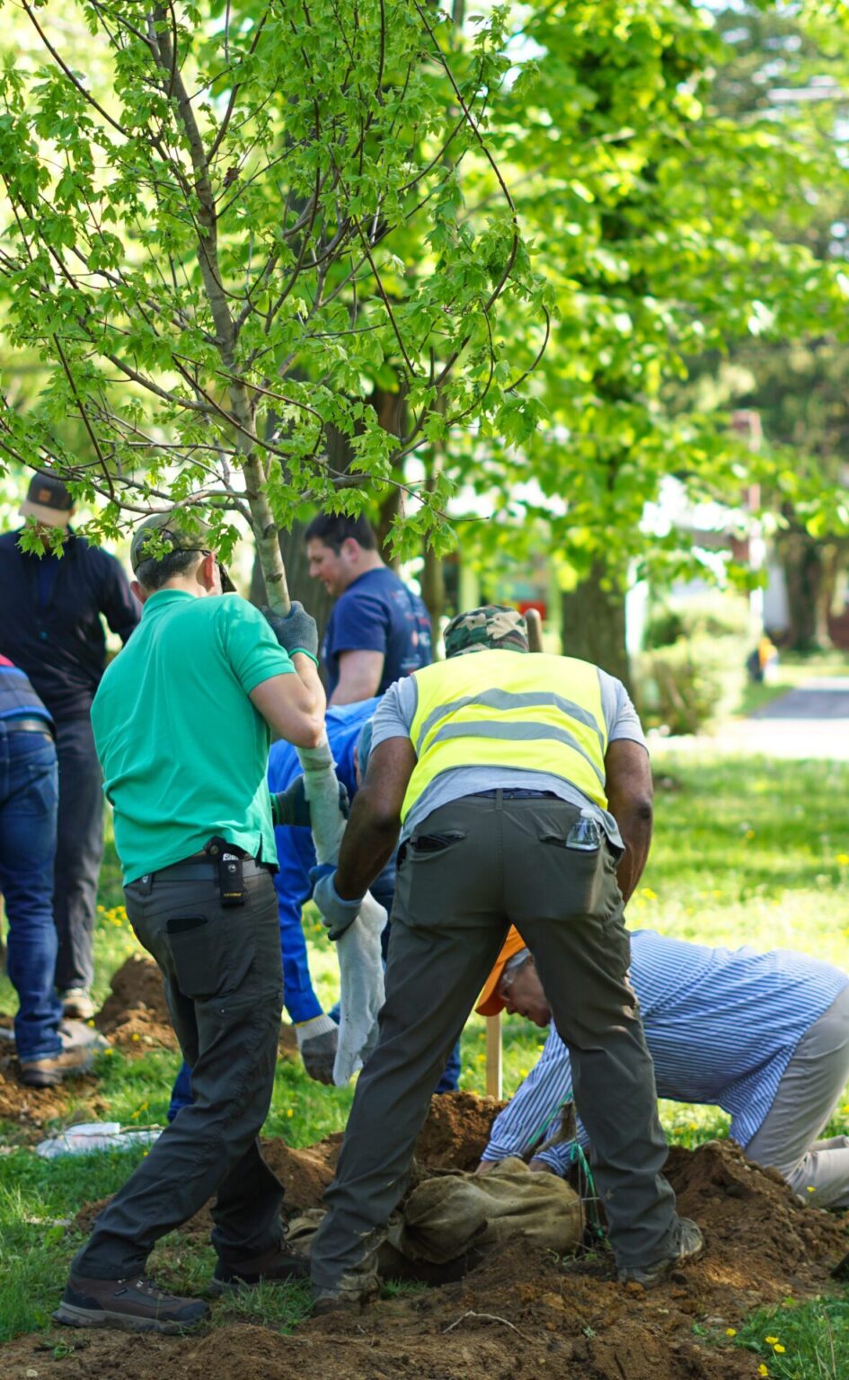 2024 Tree Planting Begins in Trenton | thewatershed.org