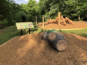 Tree Frog Trail | thewatershed.org