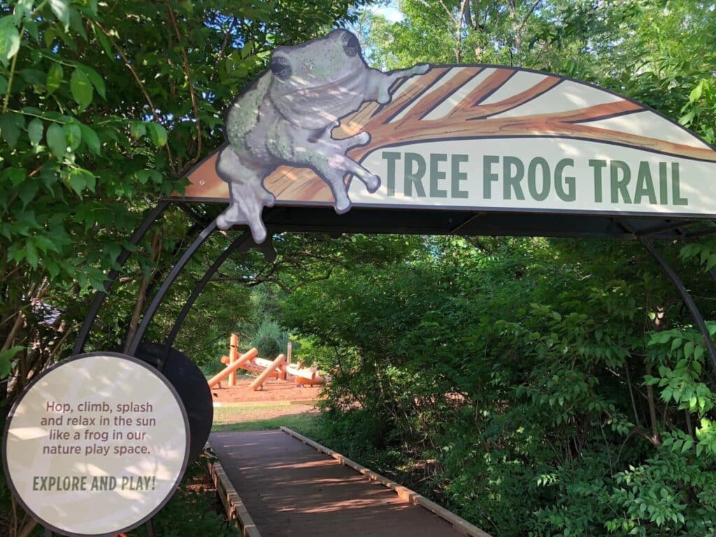 Tree Frog Trail | thewatershed.org